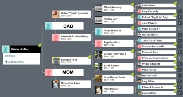 25 Do’s and Don’ts of DNA – Roots Revealed