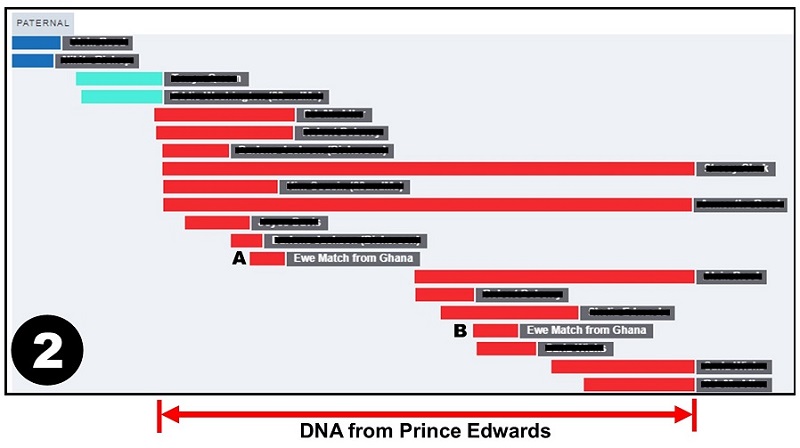 Chromosome Data Matters: Exploring Ewe Connections from Ghana – Roots ...