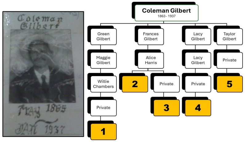 Gone Before 1870; Chromosome Mapping Helped to Uncover Her Existence ...